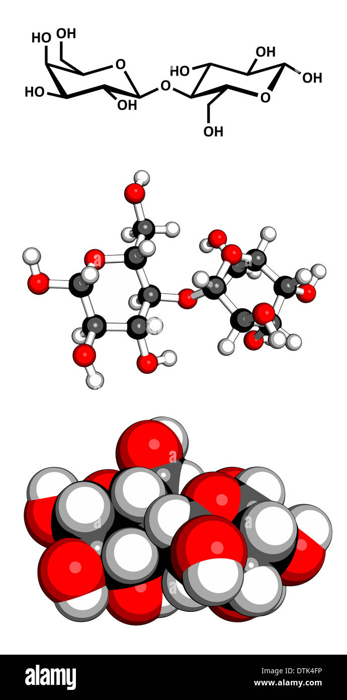 Milk Sugar Molecules
