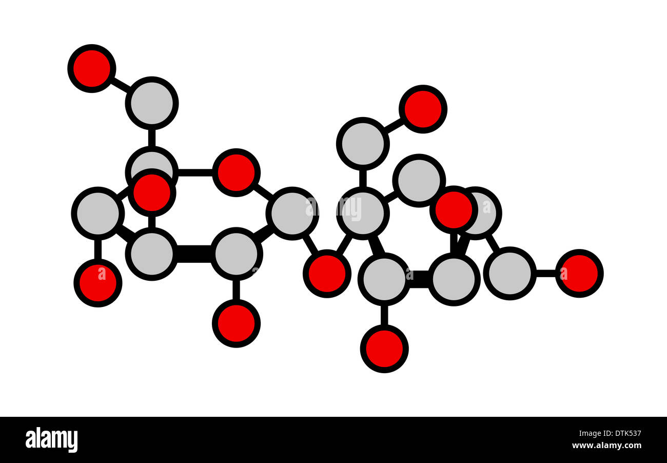 Sucrose (table sugar, saccharose) molecule. Disaccharide composed of glucose and fructose ...