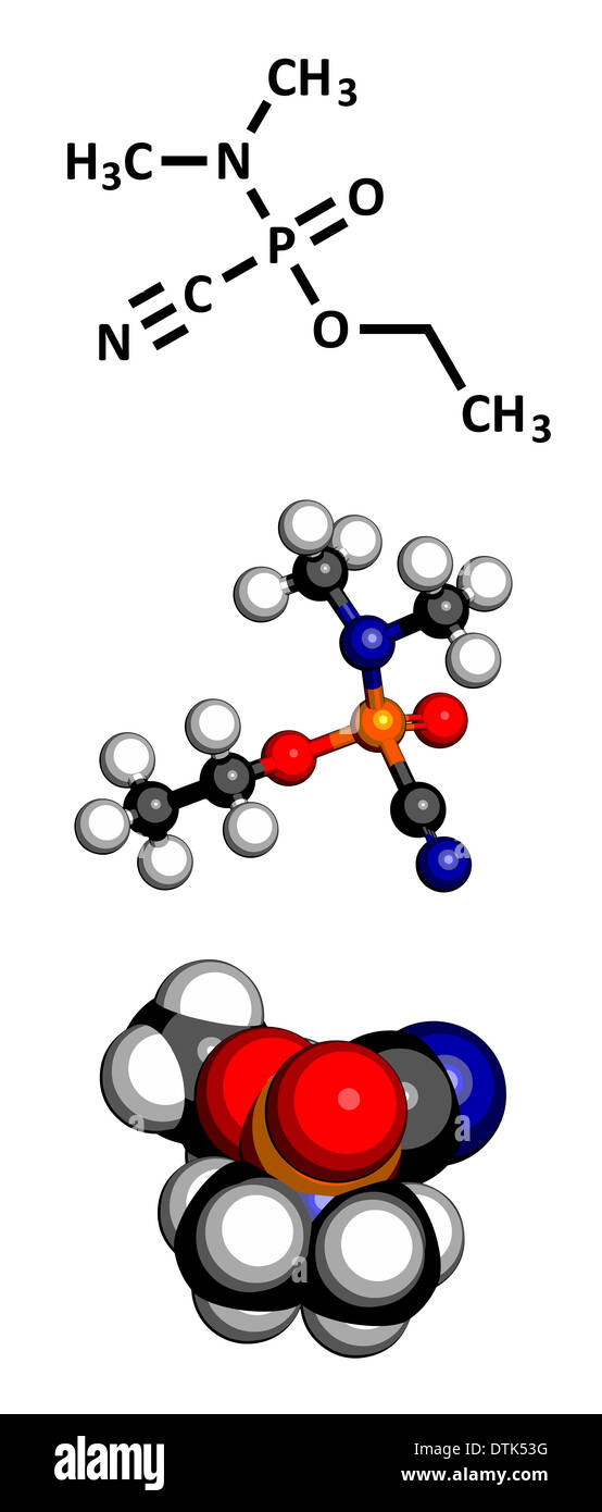 Tabun nerve agent, molecular model. Chemical weapon, classified as a ...
