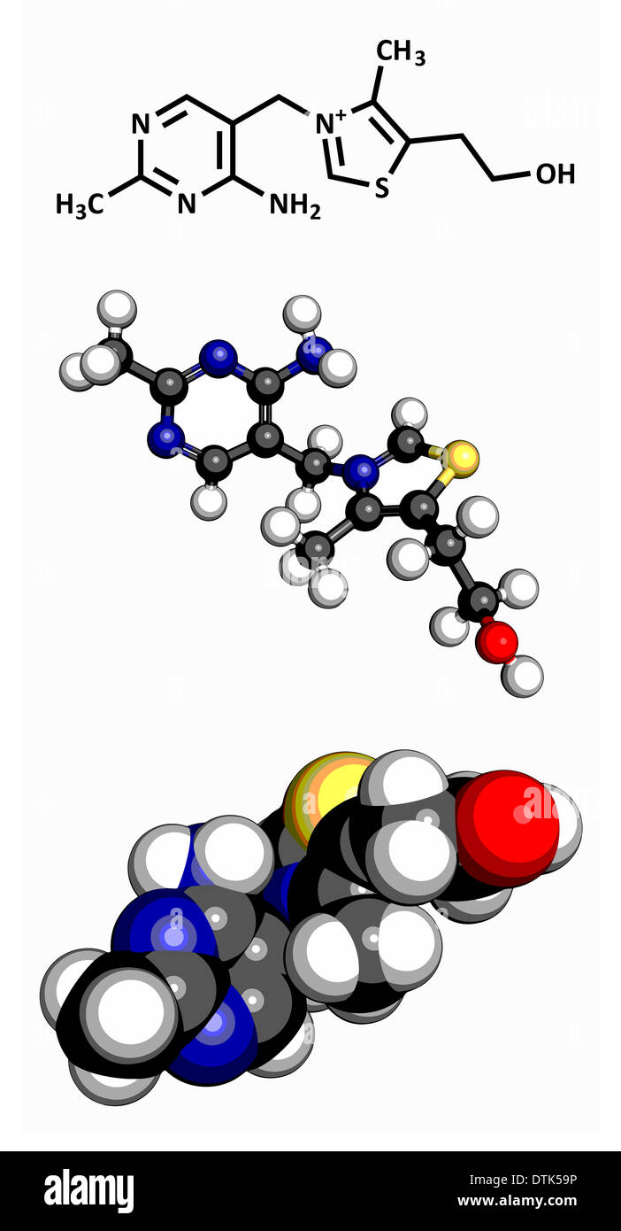 Vitamin B1 (thiamine) molecule. Three representations: 2D skeletal ...