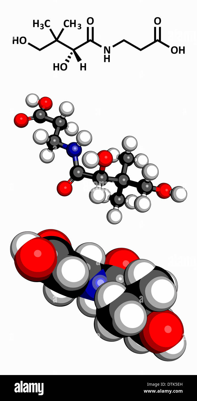 Vitamin B5 (pantothenic acid) molecule. Three representations: 2D ...