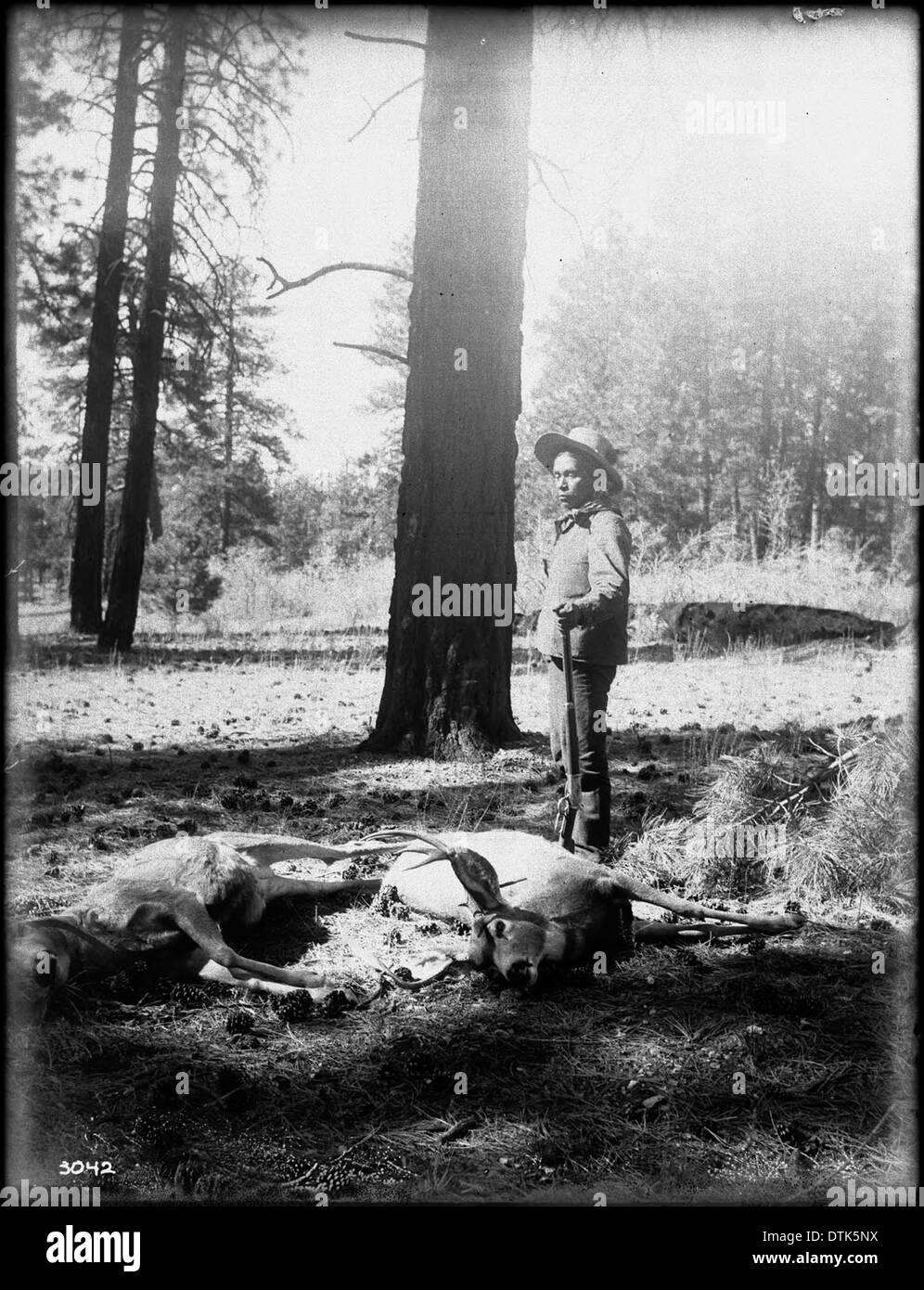 North indian forest Black and White Stock Photos & Images - Alamy