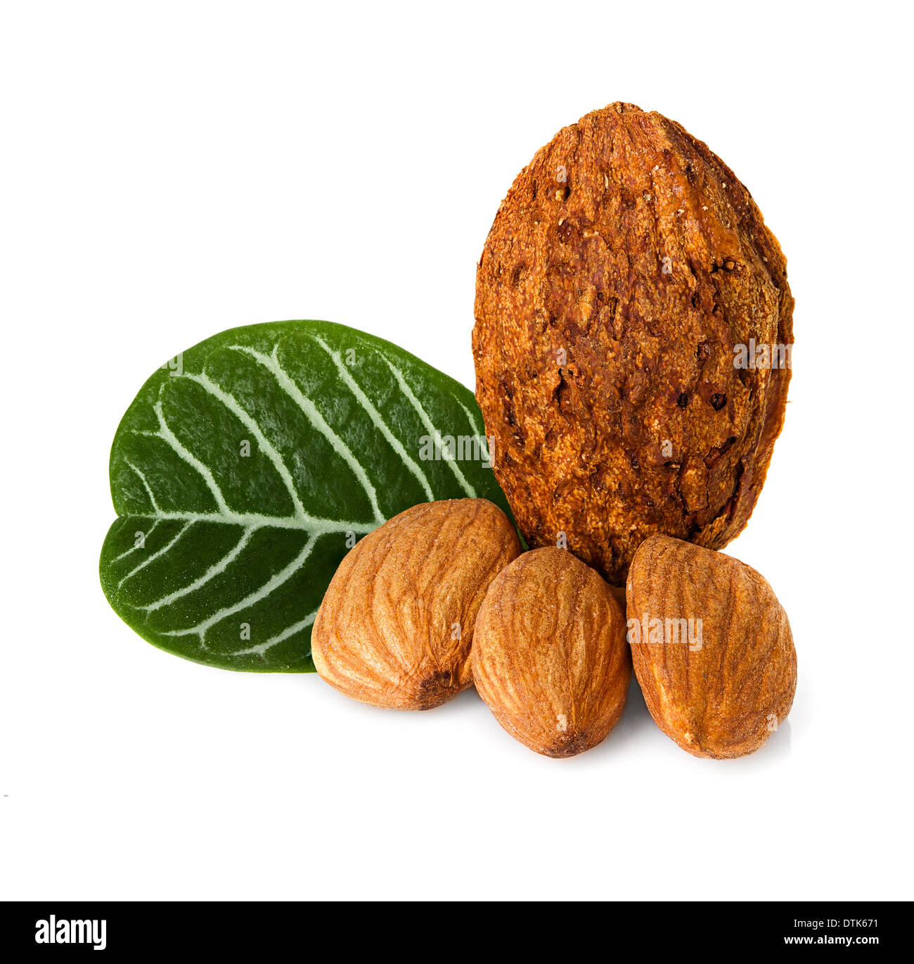 Almond brown hi-res stock photography and images - Alamy