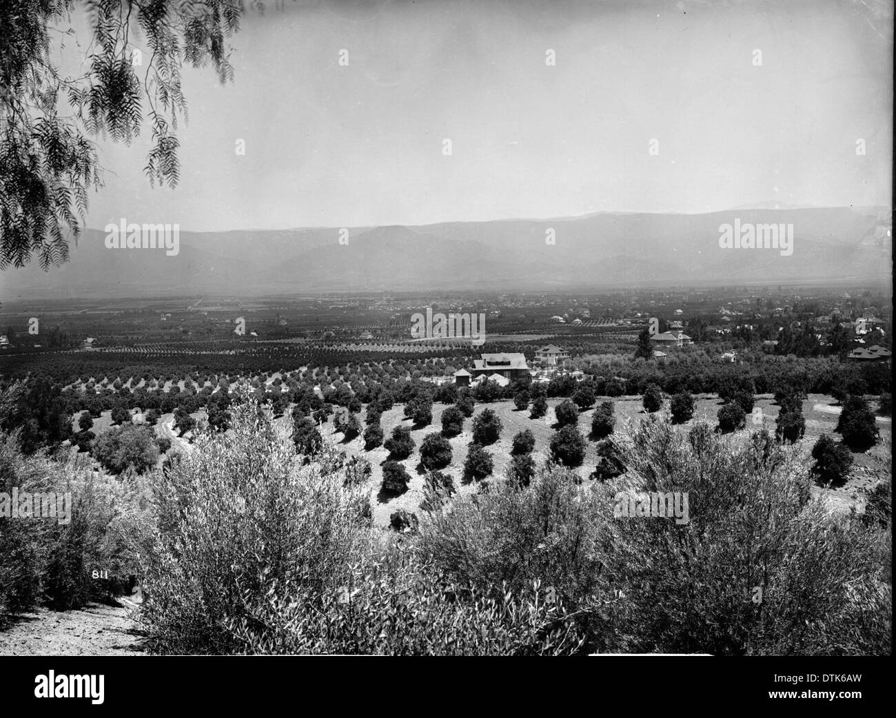 A photograph of Redlands, California, taken from Smiley Heights around ...
