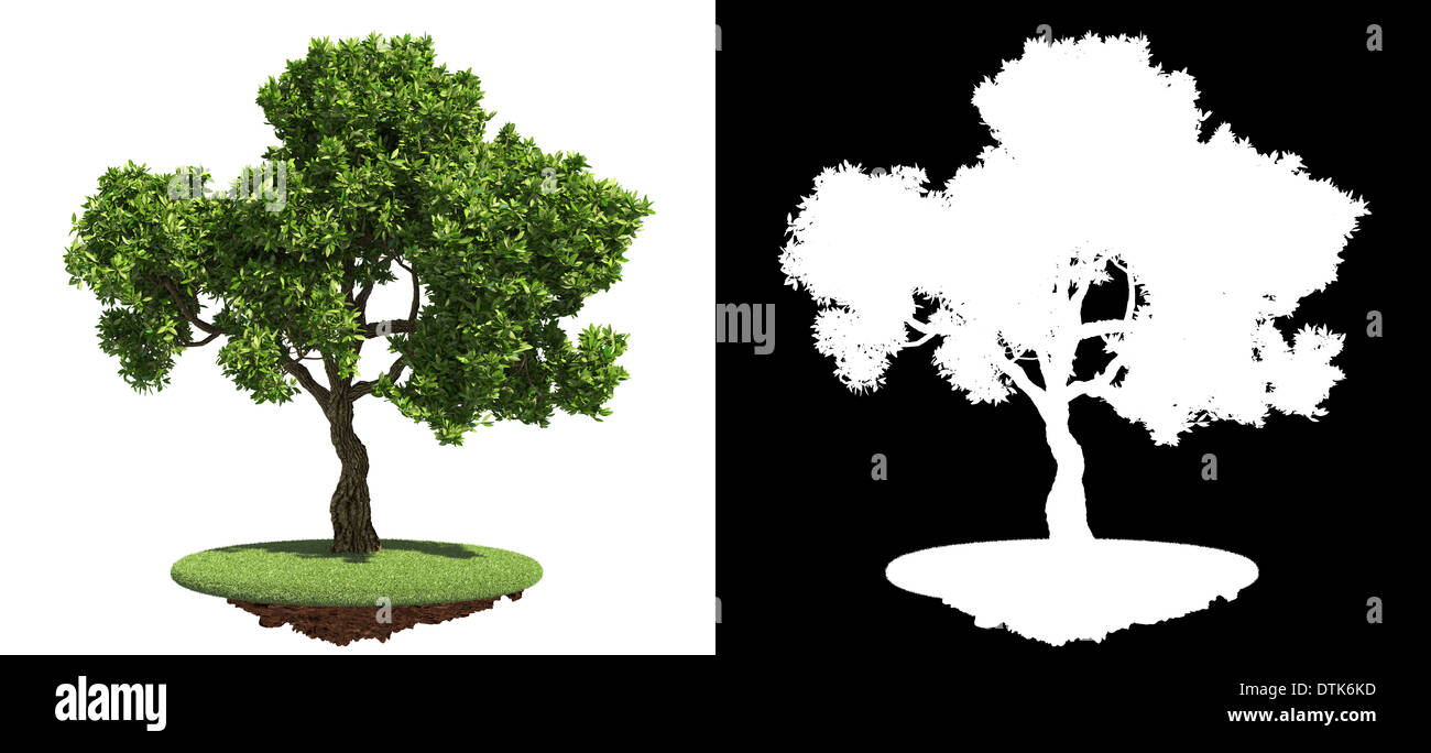 Tree Isolated on White Background with Detail Raster Mask Stock Photo ...
