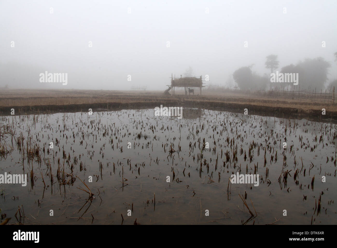 Rural Laos in Southeast Asia on a Misty Morning Stock Photo - Alamy