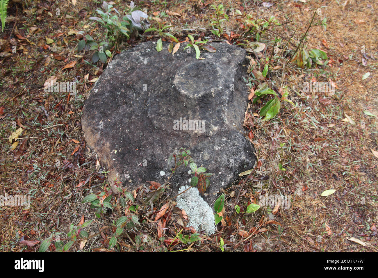 Concentric rings hi-res stock photography and images - Alamy