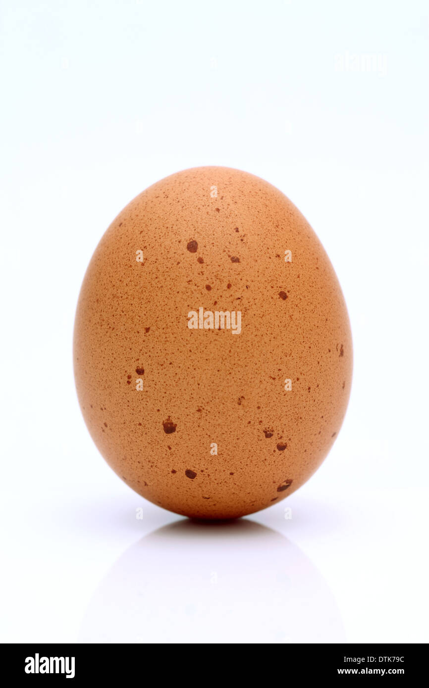 Boiled egg brown chicken egg hi-res stock photography and images - Alamy