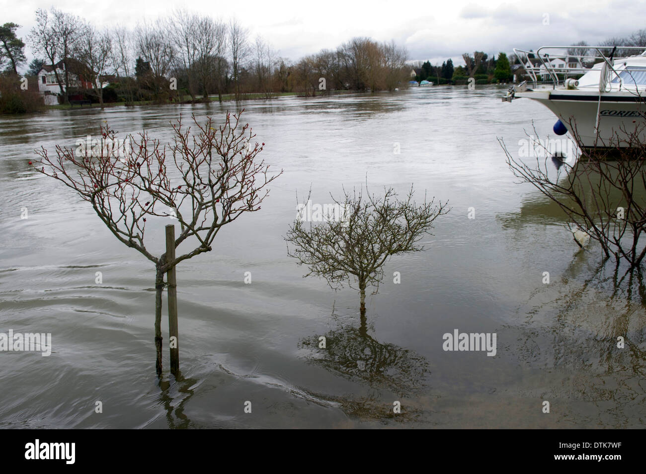 Staines Flooding in Marina Stock Photo - Alamy