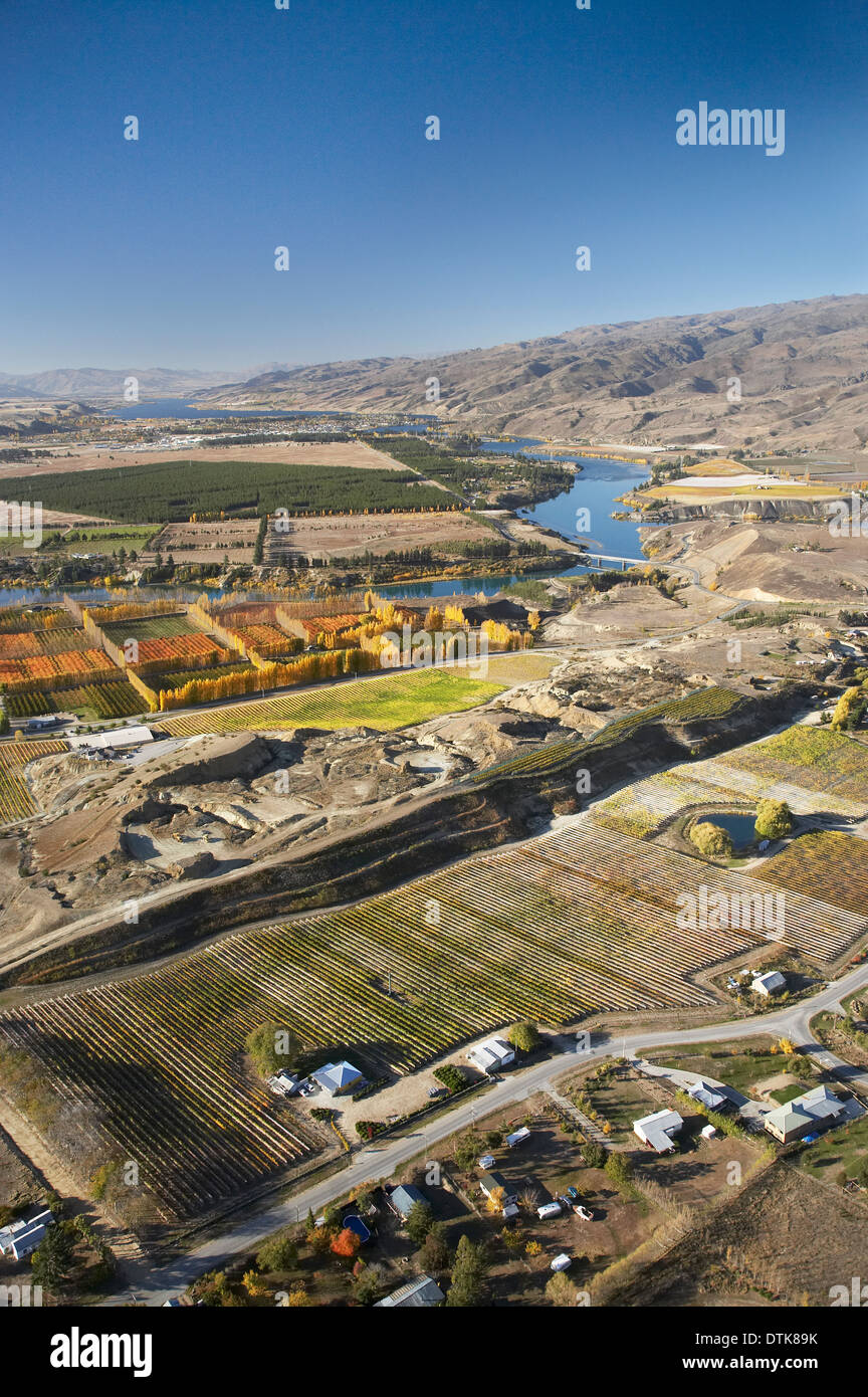 Domain Road Vineyard and Orchards, Bannockburn, and Lake Dunstan ...