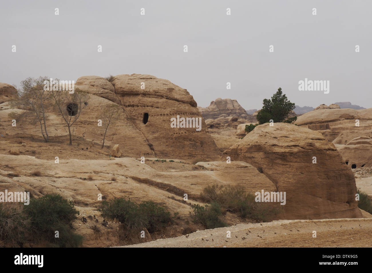 Middle east nabataeans hi-res stock photography and images - Alamy