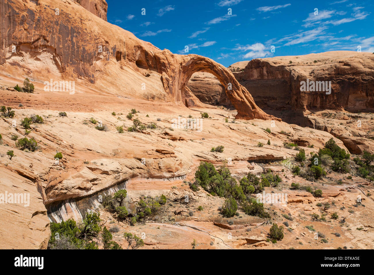 Corona Arch near Moab, Utah Stock Photo - Alamy