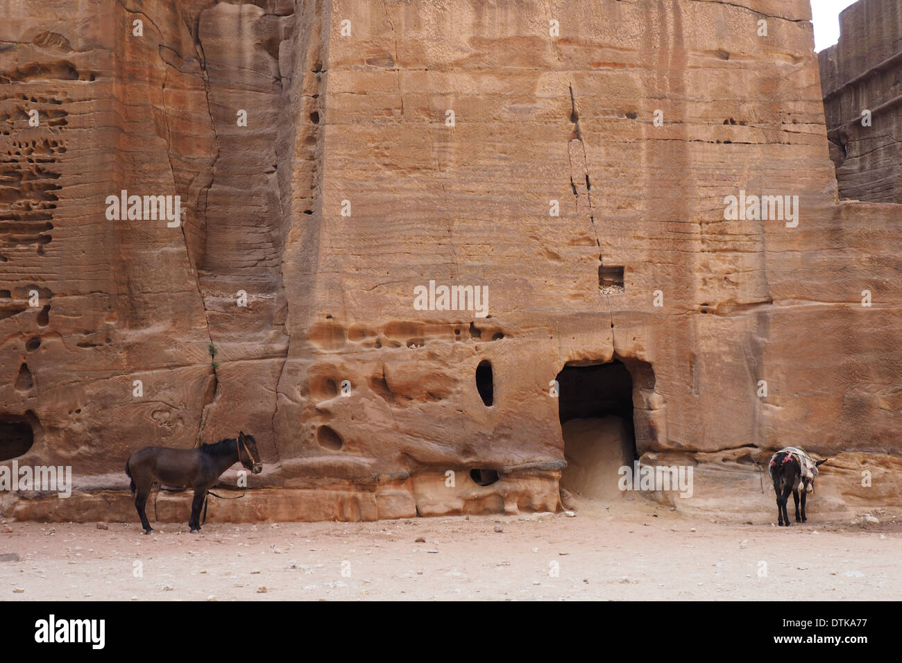 Middle eastern archaeology hi-res stock photography and images - Alamy