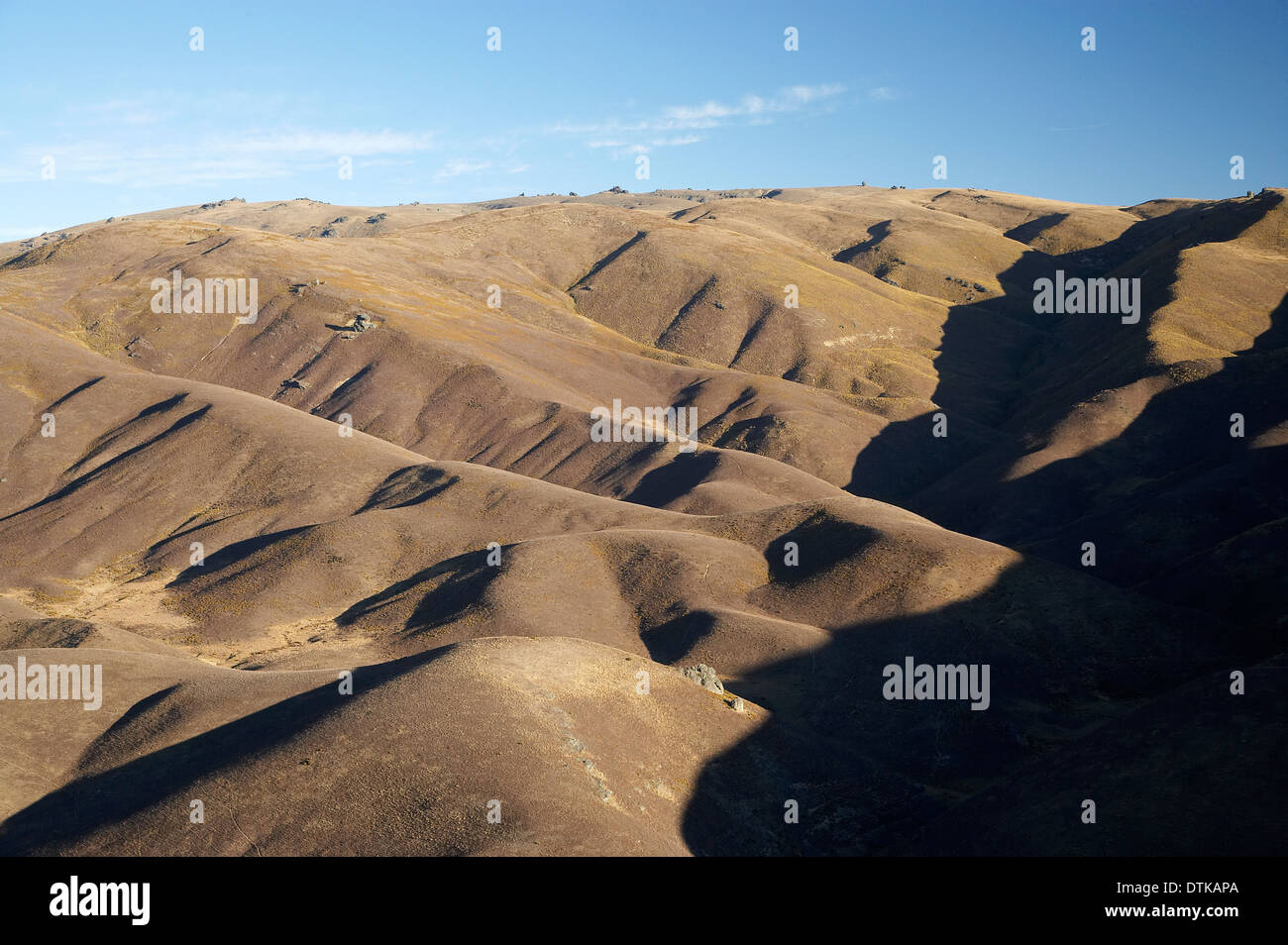 Highcountry, Pisa Range, Central Otago, South Island, New Zealand ...