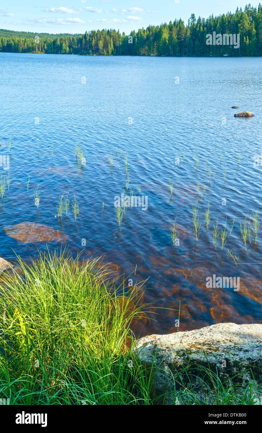 Lake summer view with forest on the edge ( Finland Stock Photo - Alamy