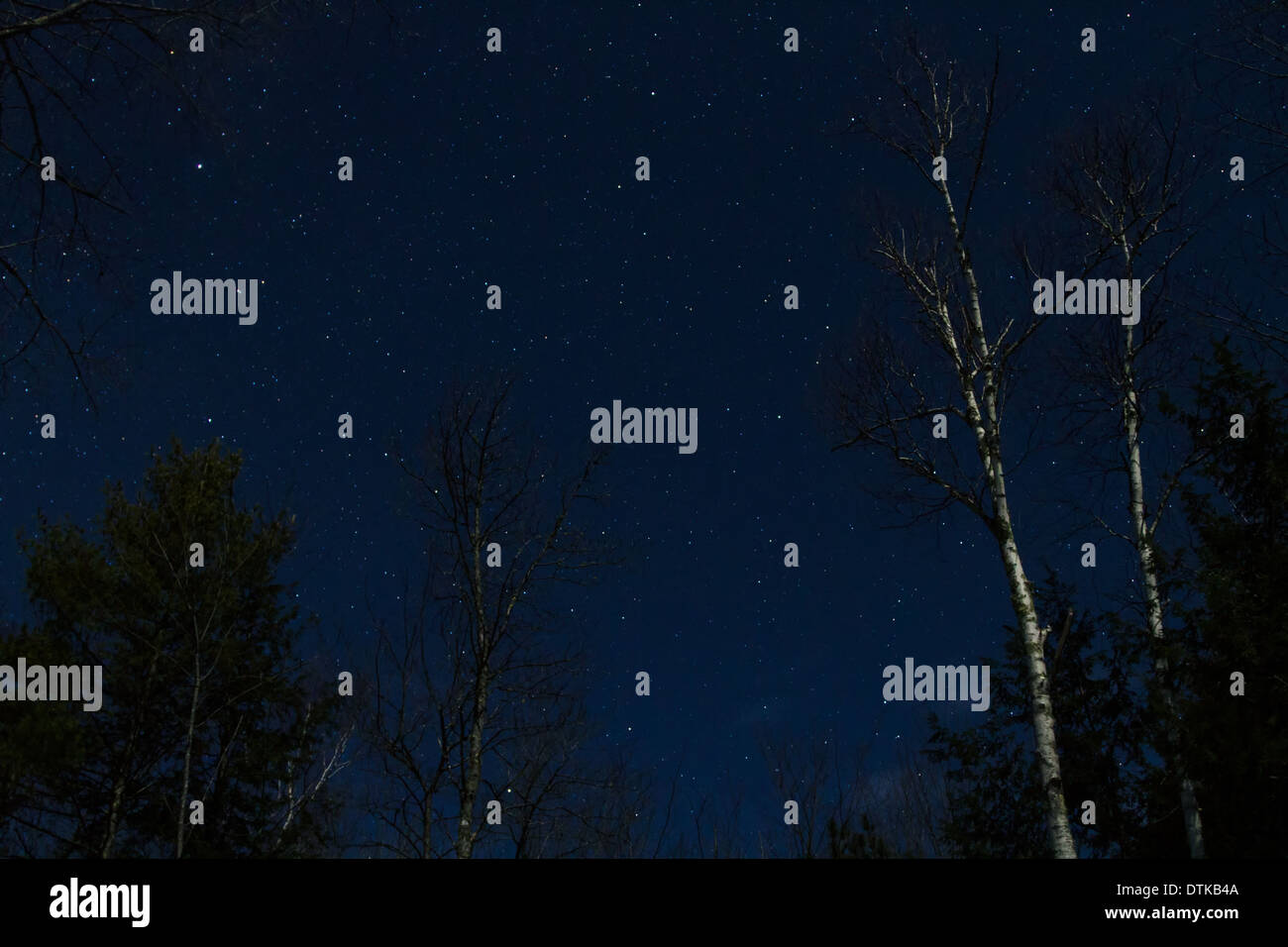 Moonlit night photography hi-res stock photography and images - Alamy