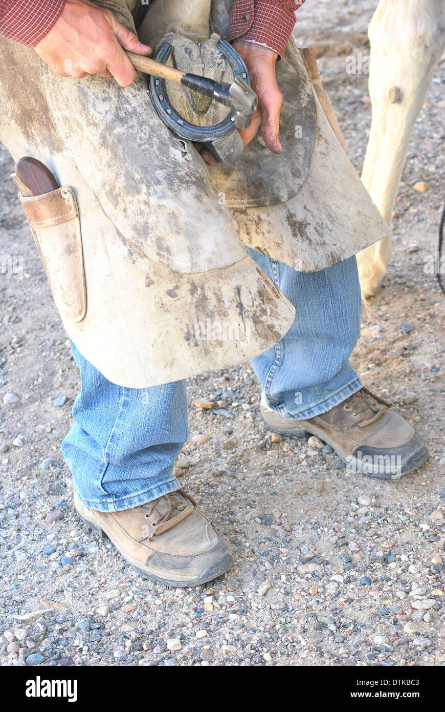 Male farrier working on a horse Stock Photo - Alamy