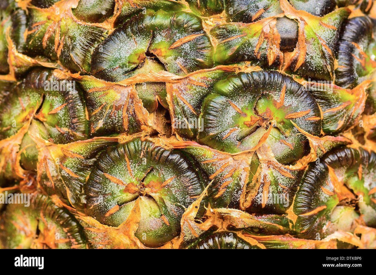 Peel of pineapple Stock Photo - Alamy