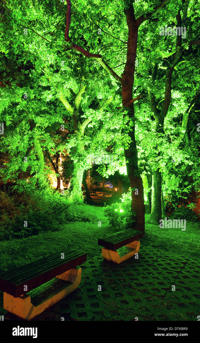Night park hi-res stock photography and images - Alamy