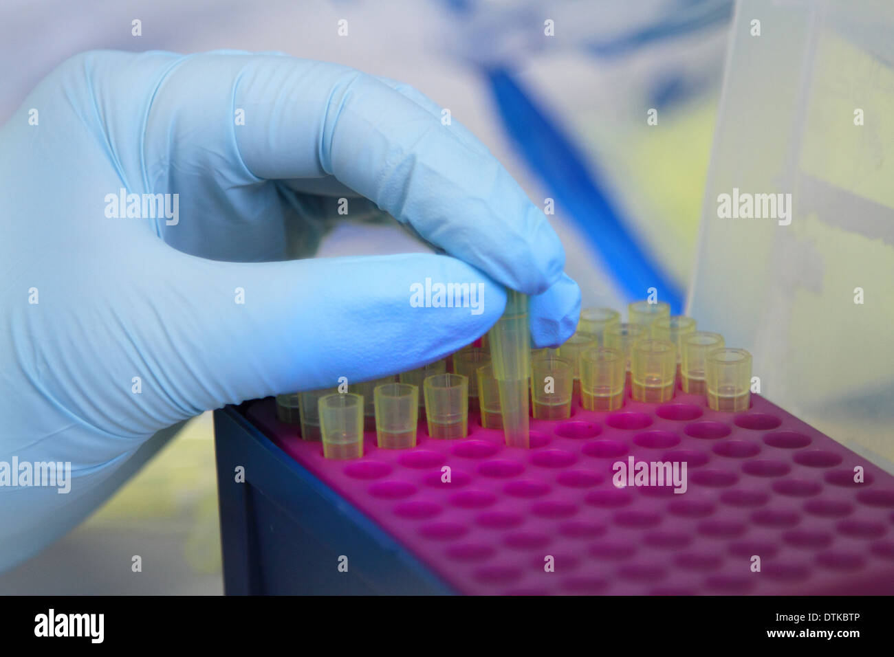 tips in a labor Stock Photo - Alamy