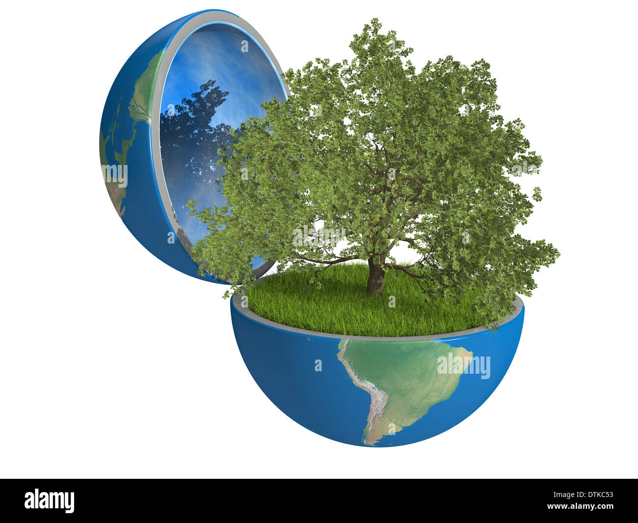 Oak tree growing inside opened planet Earth, isolated on white ...