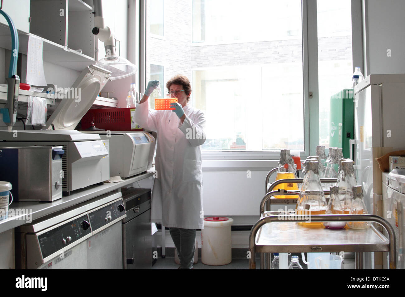 Working in a lab hi-res stock photography and images - Alamy