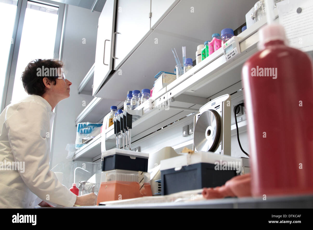 Middle research hi-res stock photography and images - Alamy