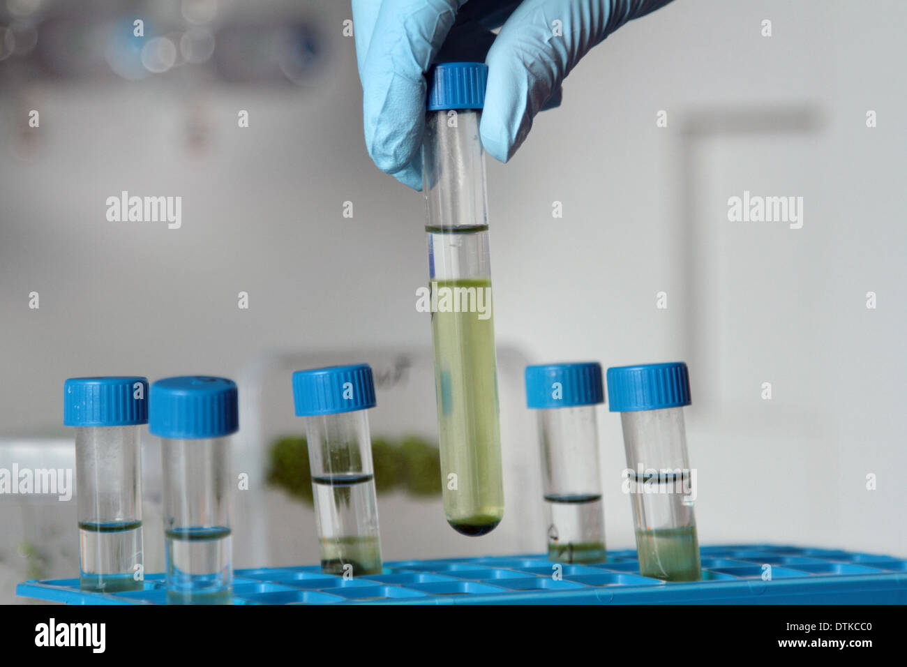 work in a lab with lab tools Stock Photo - Alamy