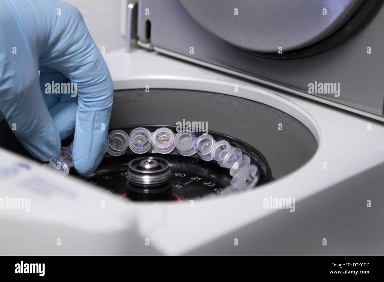 work in a lab with lab tools Stock Photo - Alamy