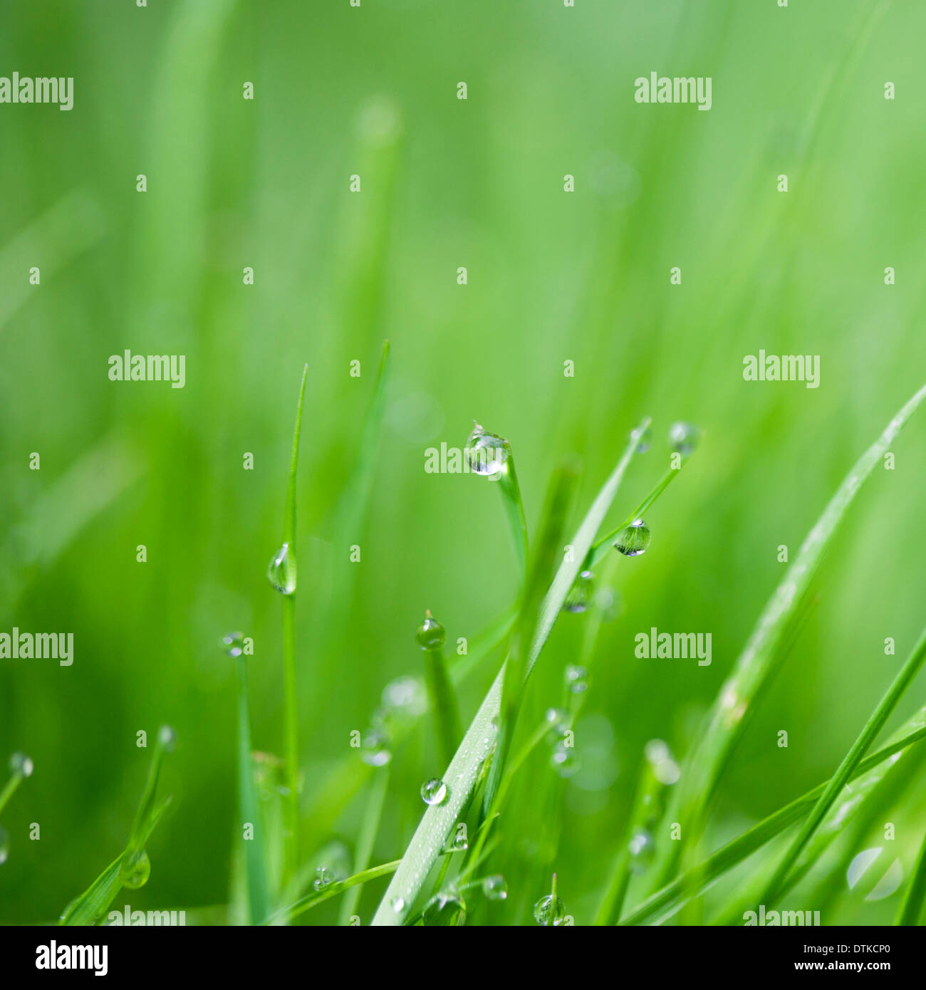Grass water photography hi-res stock photography and images - Alamy