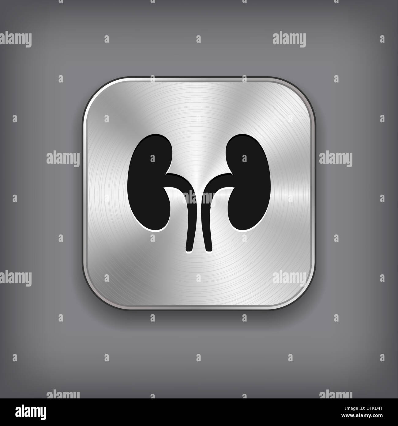 Kidneys icon - metal app button with shadow Stock Photo - Alamy
