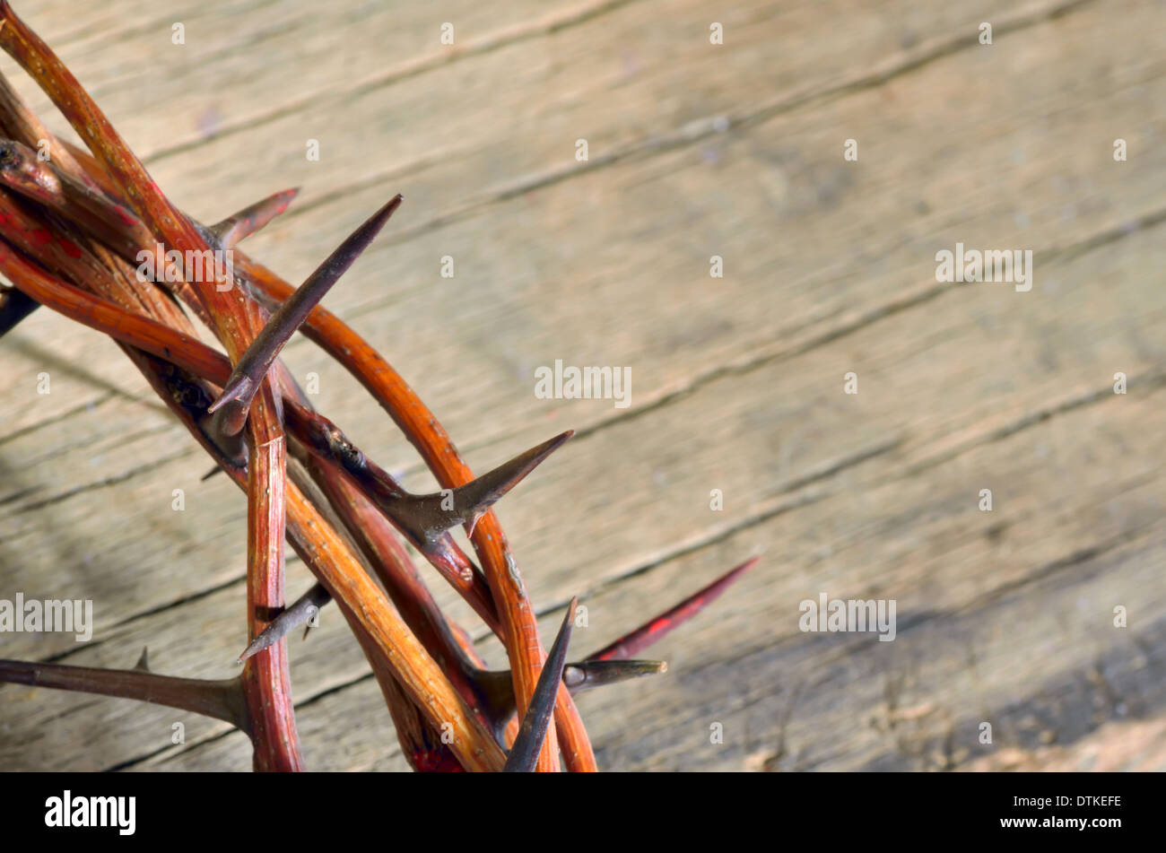 Wood thorns hi-res stock photography and images - Alamy