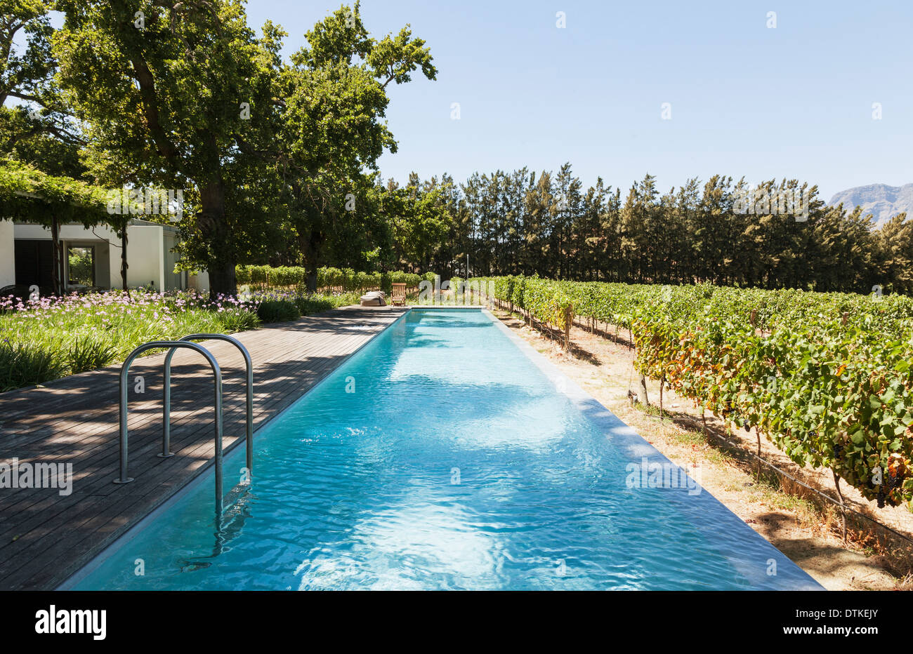Luxury lap pool among garden and vineyards Stock Photo - Alamy