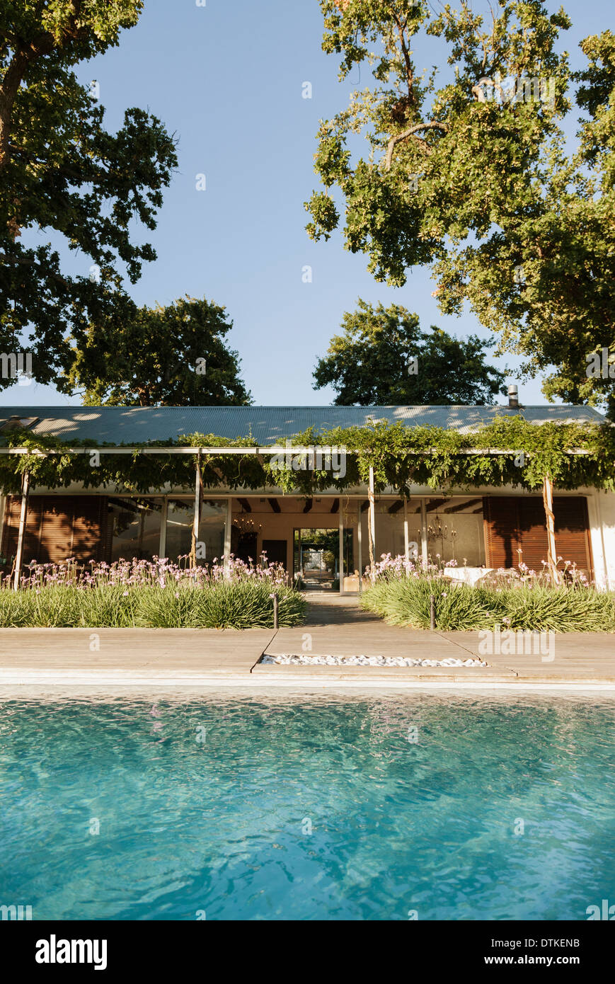 Swimming pool outside modern house Stock Photo - Alamy