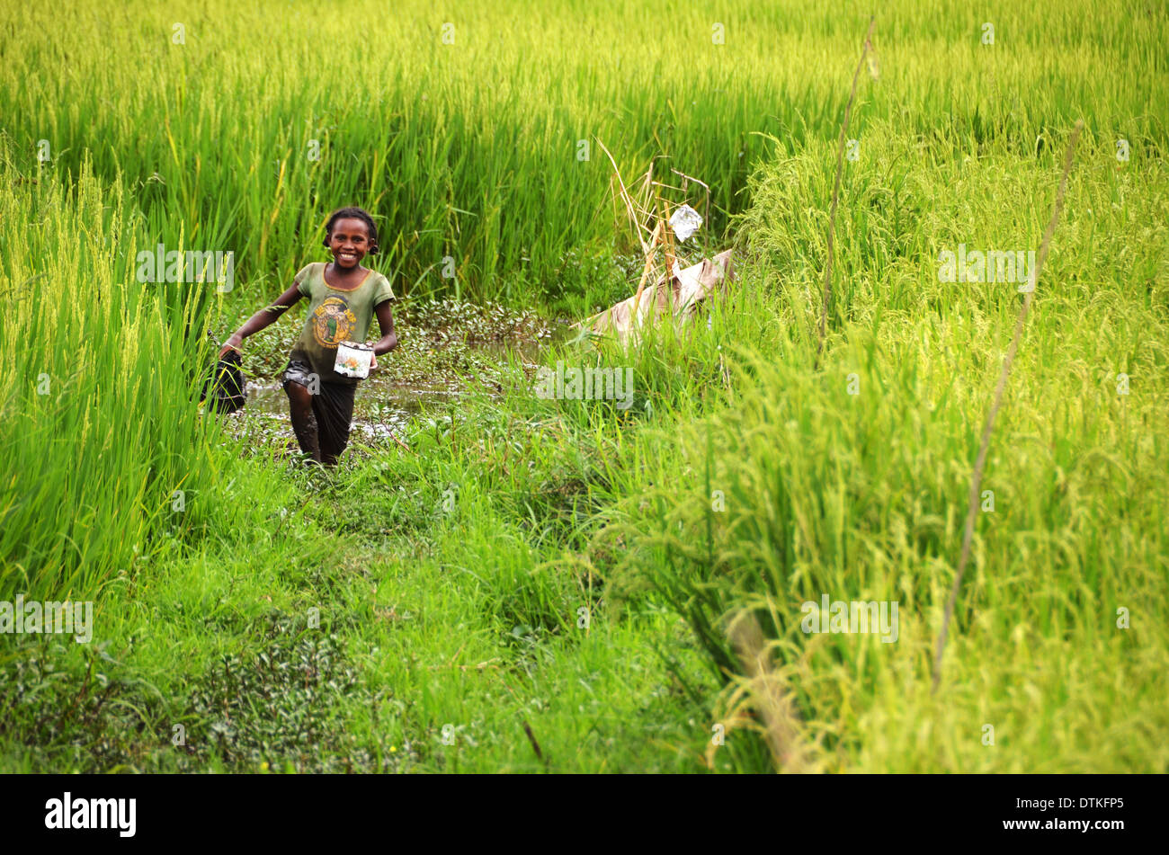 Madagascar, Ampefy, smiling girl running in the ricefields Stock Photo ...