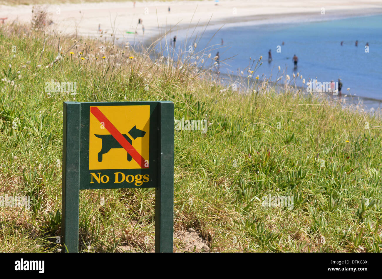 Prohibited Animals High Resolution Stock Photography and Images - Alamy