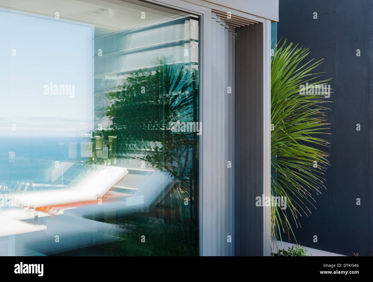 Palm tree peeking around corner of modern house Stock Photo - Alamy