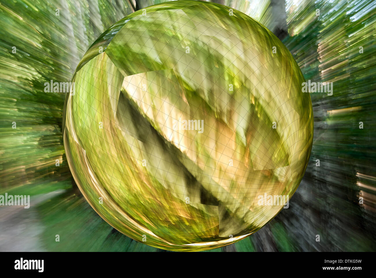 Vision trees and trees hi-res stock photography and images - Alamy