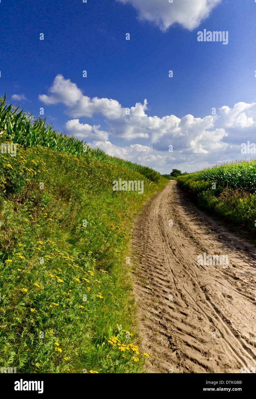 Harvest time season background hi-res stock photography and images - Alamy