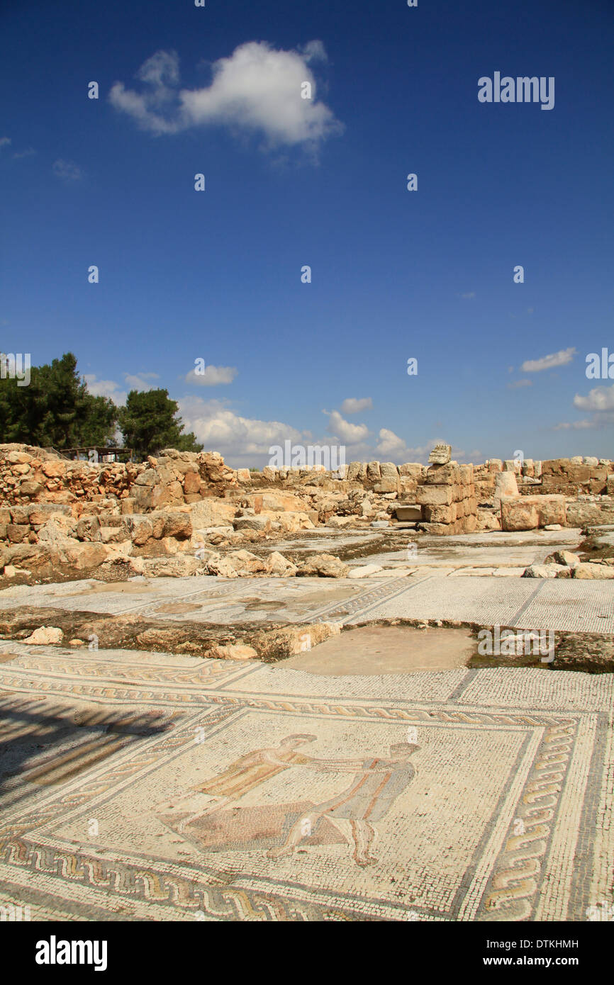 Israel, lower Galilee, the floor mosaic at a Roman villa in Zippori ...