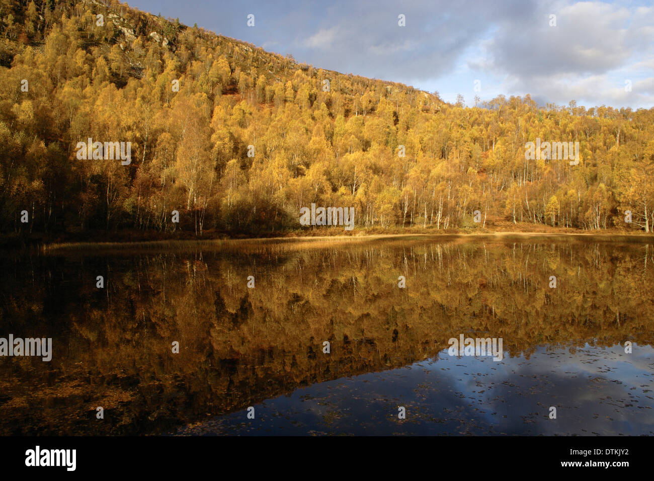 Craigellachie Birch Pool, Aviemore, Cairngorm National Park, Highland ...