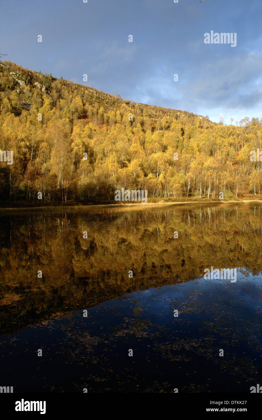 Craigellachie National Nature Reserve High Resolution Stock Photography ...