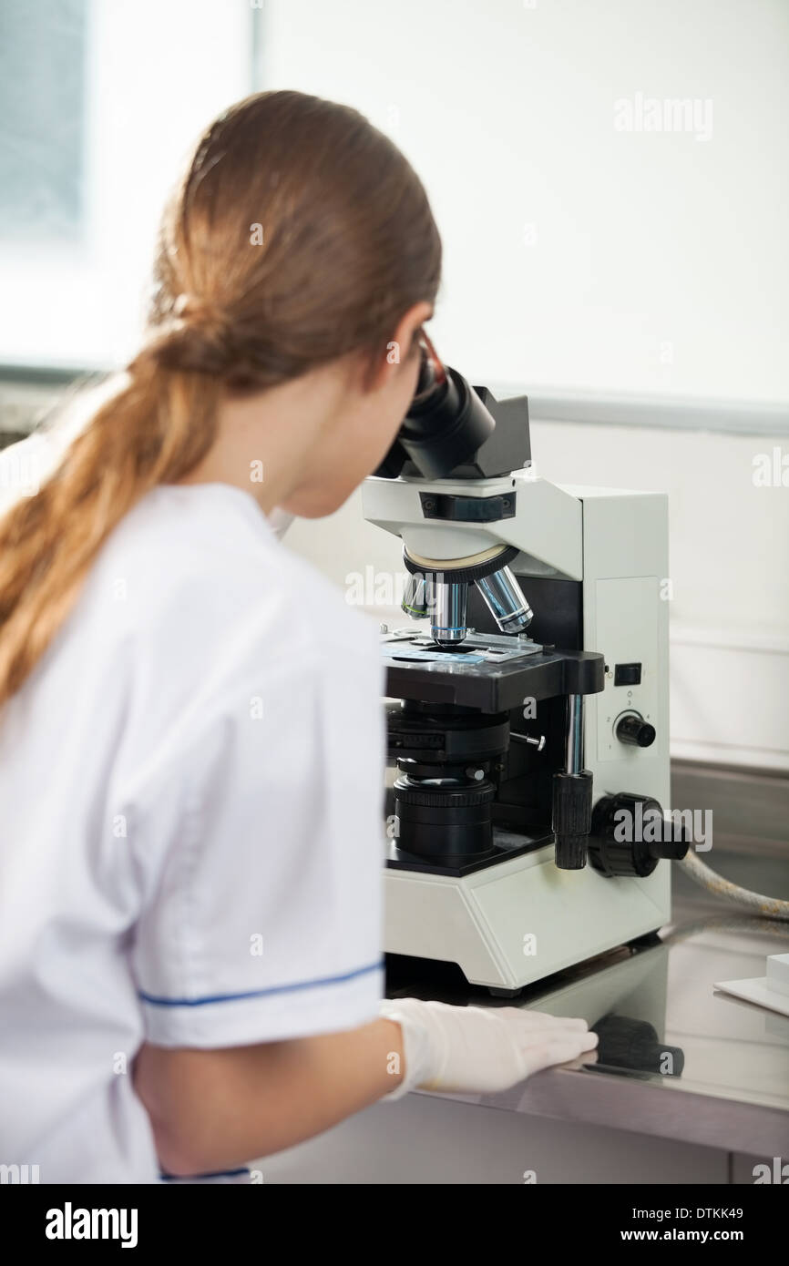 Scientist Looking Through Microscope Stock Photo - Alamy