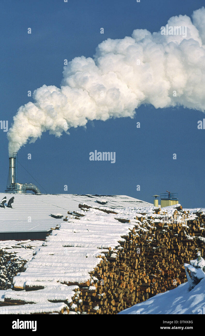 Woodpile winter pulp mill hi-res stock photography and images - Alamy