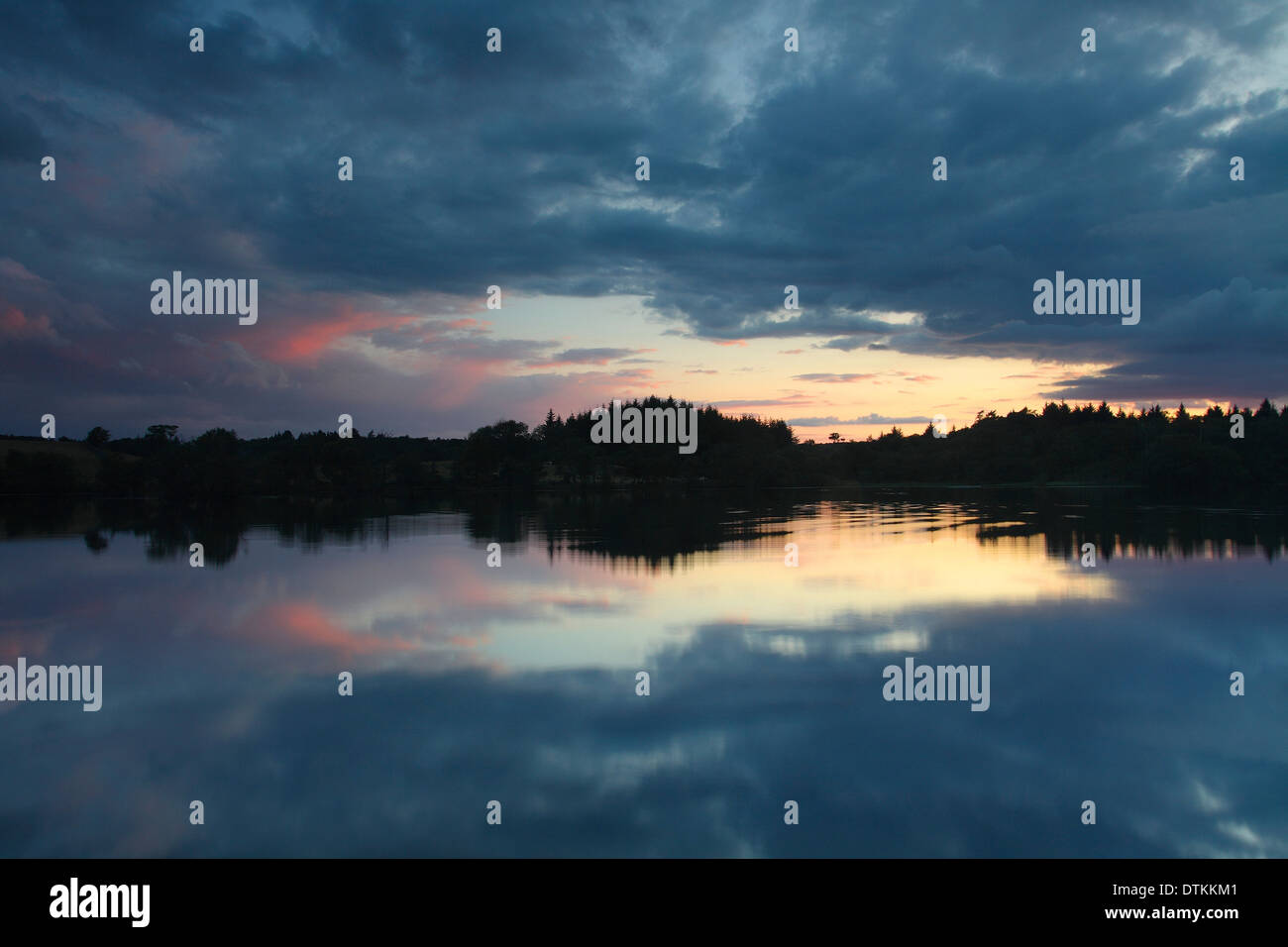 Barean Loch, Dalbeattie Forest, Colvend, Galloway Stock Photo - Alamy