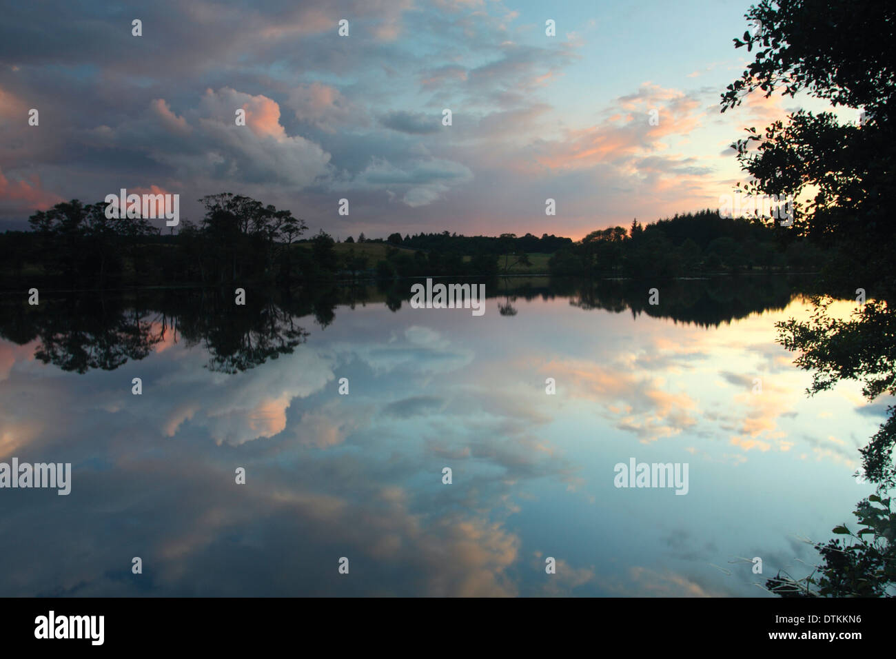 Barean Loch, Dalbeattie Forest, Colvend, Galloway Stock Photo - Alamy