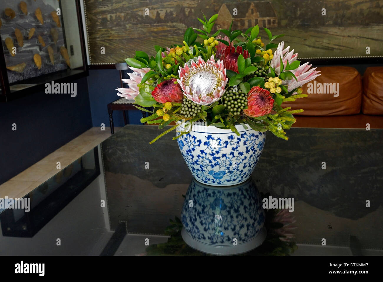 Proteas Stock Photos & Proteas Stock Images - Alamy