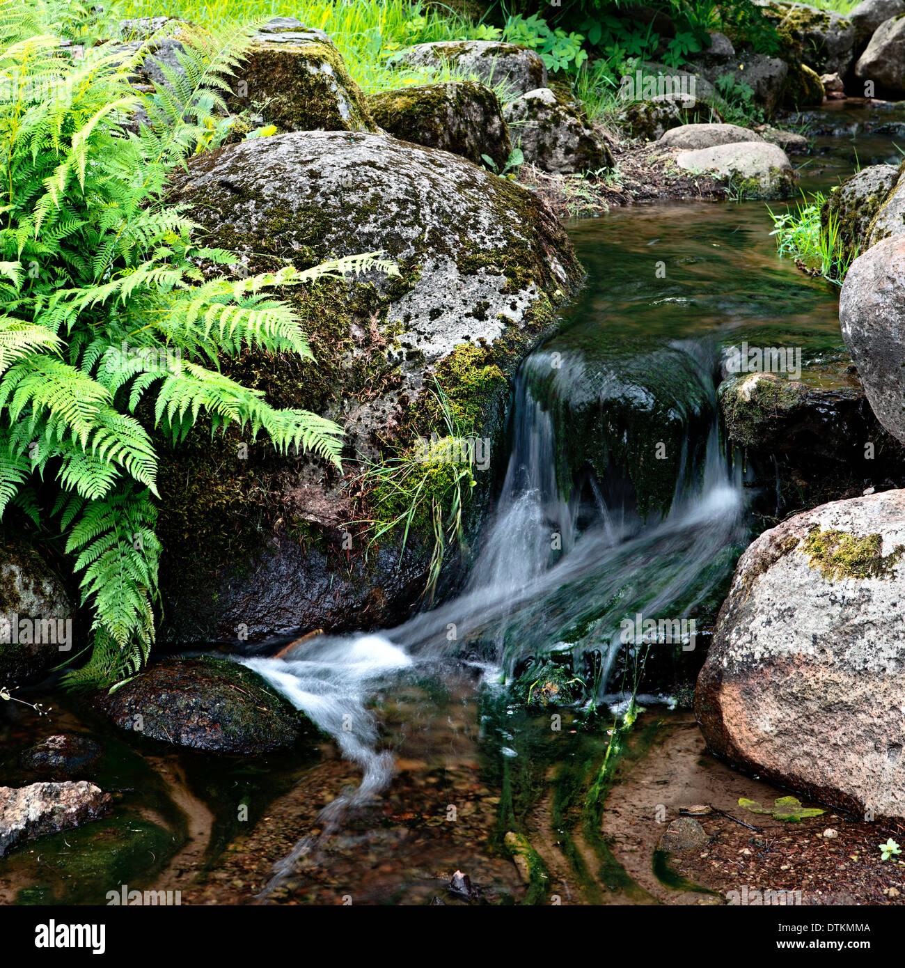 Tranquil woodland creek hi-res stock photography and images - Alamy