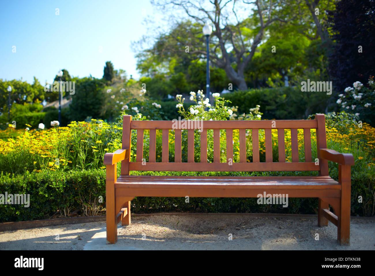 Bench in the park Stock Photo - Alamy