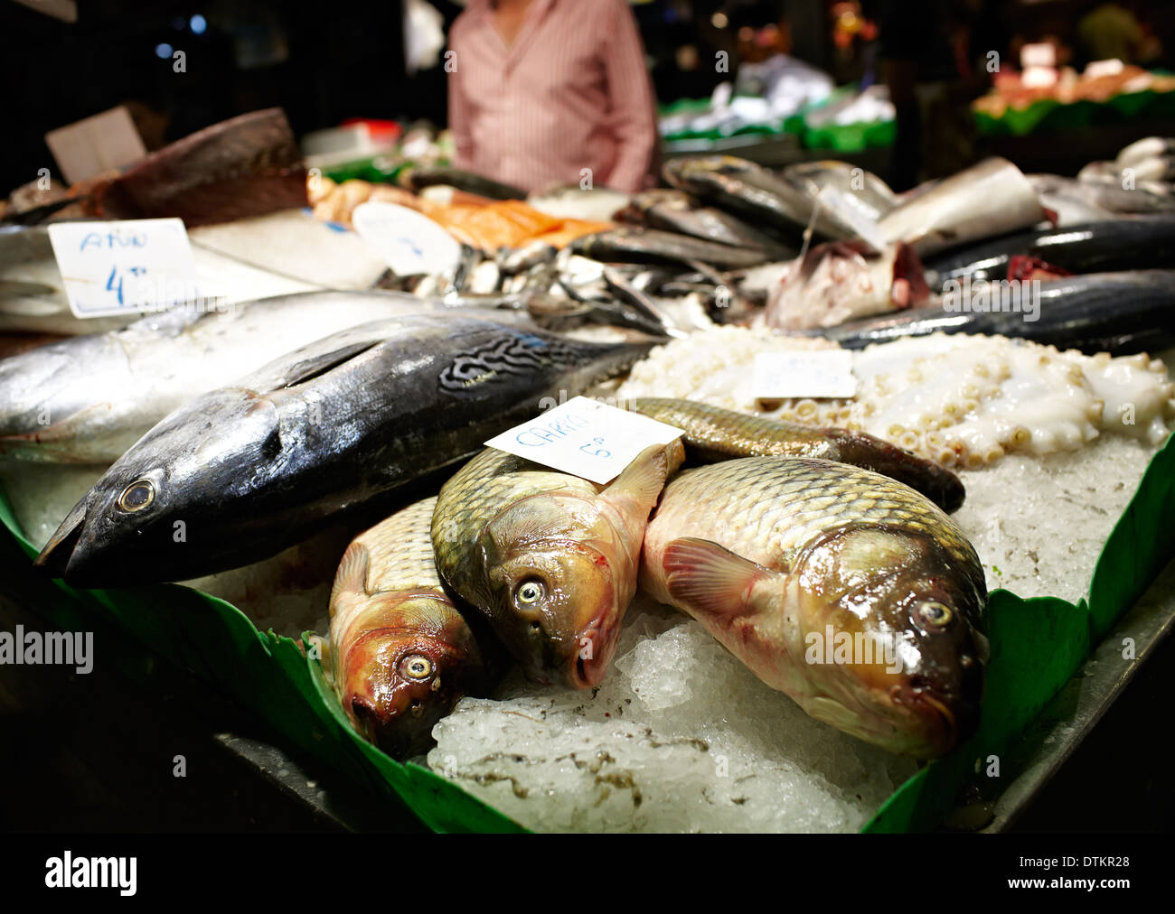Barcelona fish market Stock Photo - Alamy